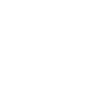 ADINT – Cyber Intelligence Institute – ADINT – Cyber Intelligence Institute