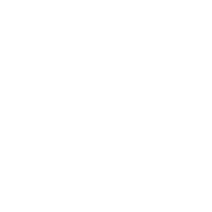 ADINT – Cyber Intelligence Institute – ADINT – Cyber Intelligence Institute