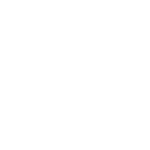 ADINT – Cyber Intelligence Institute – ADINT – Cyber Intelligence Institute